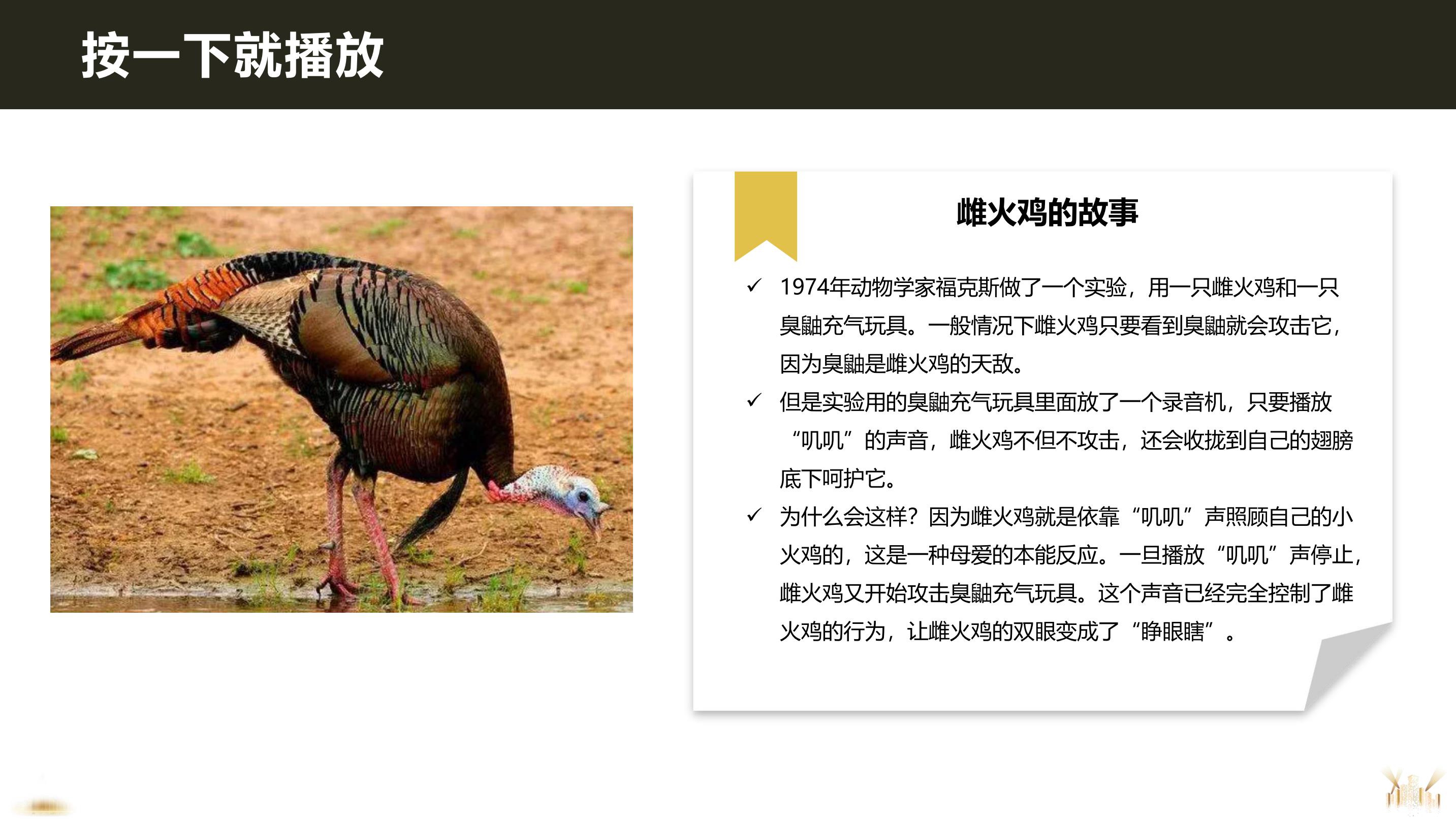 《影响力（全新升级版）》读书笔记文库 报告厅