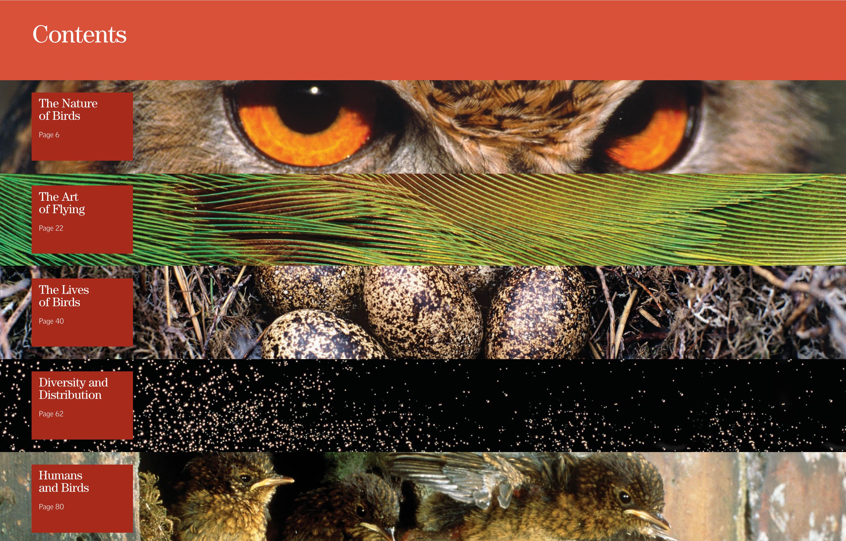 大英儿童百科全书-丛Britannica Illustrated Science Library系列合集-18_文库-报告厅